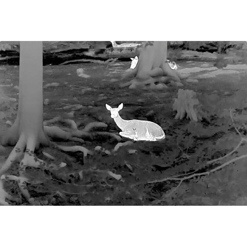 InfiRay Unique UH50 – SCV SA